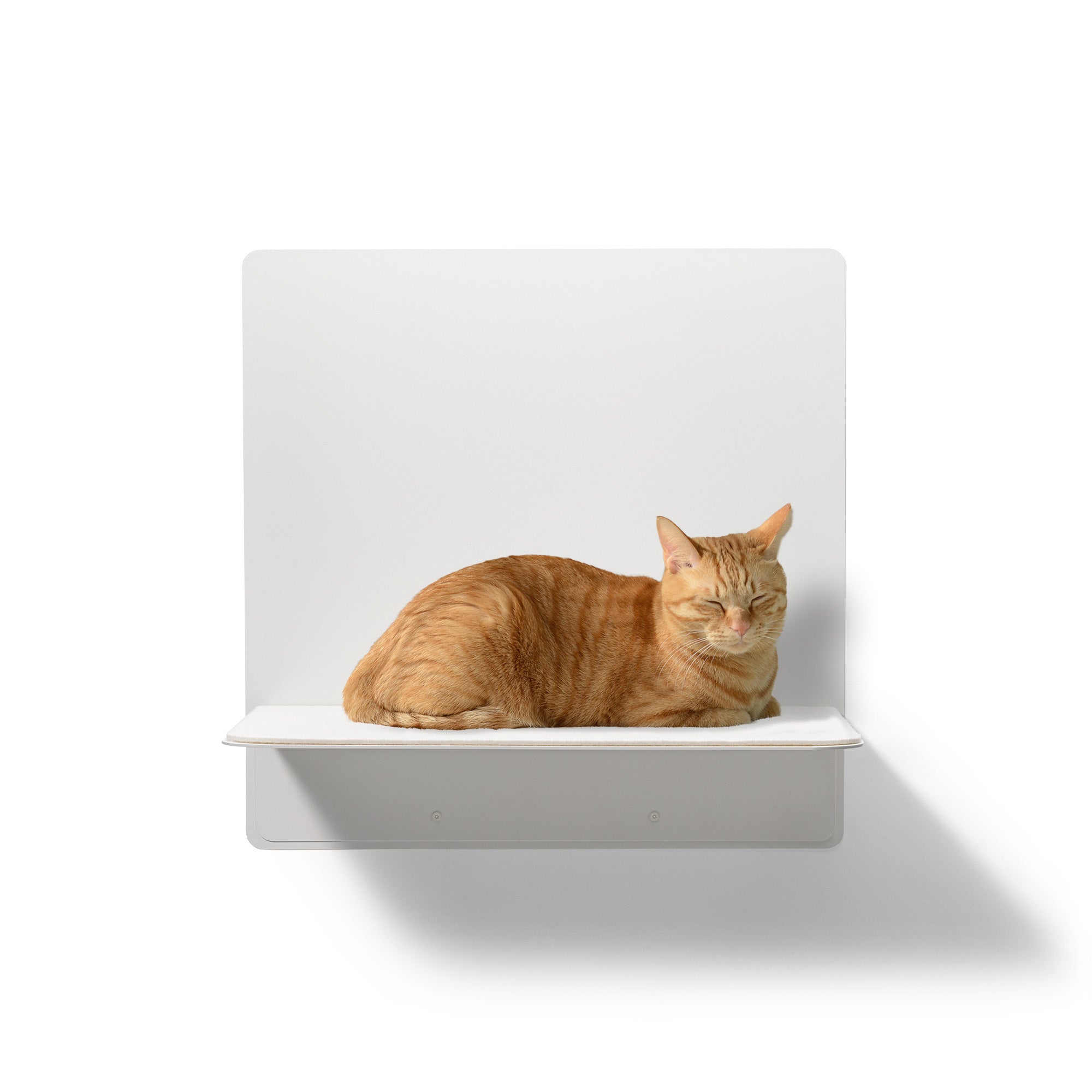 Design Katzen Wandliege WL 320 aus Metall, Katzenkletterwand | STYA